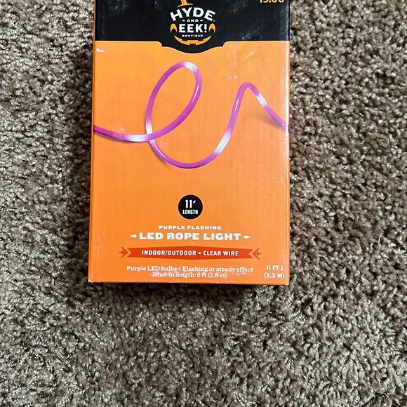 Hyde & EEK! | Holiday | Hyde And Eek Led Purple Flashing Rope Lights ...